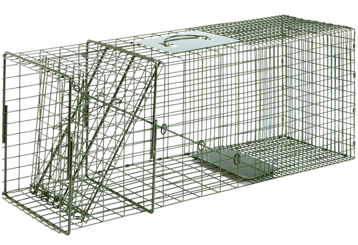 Duke Cage Traps – www.peterickard.com